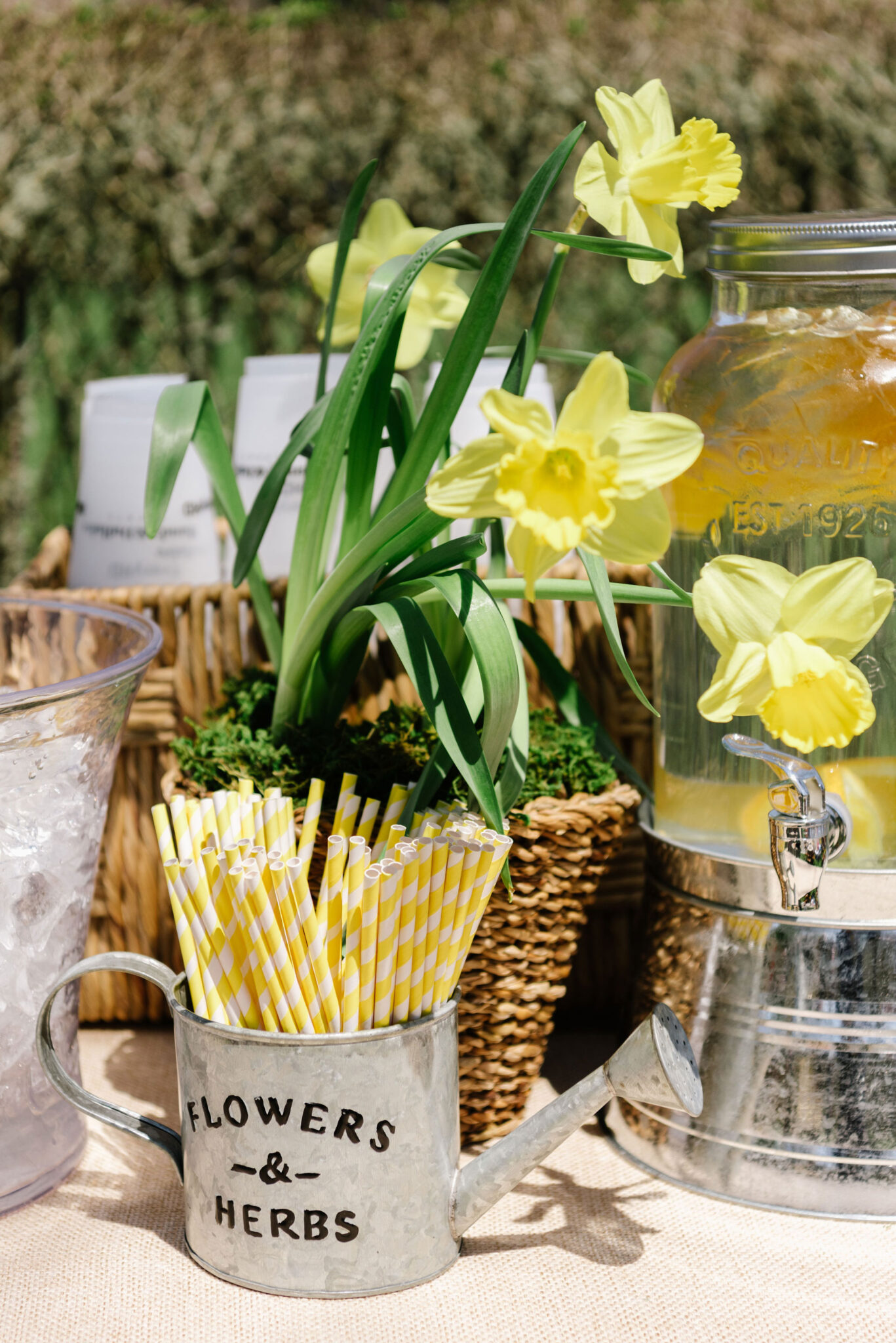 The 47th Nantucket Daffodil Festival Welcomes a New Season! - Handy ...